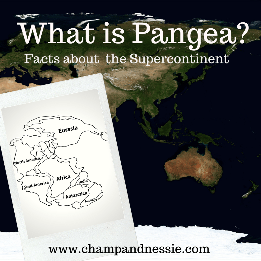 What is Pangea? – Frayne House Press